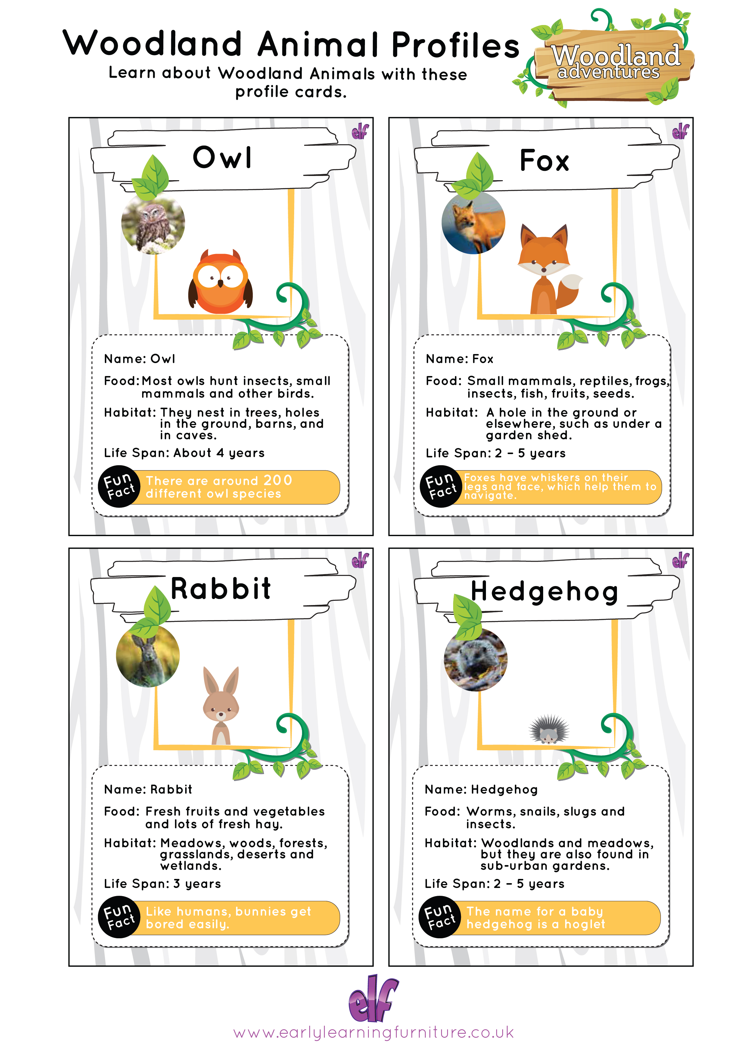 Woodlands Printable Worksheets | FREE Teaching Resource